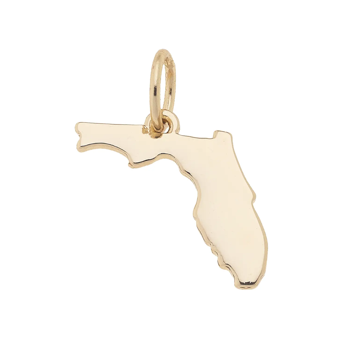Florida Shaped State Charm in Shiny Gold canvas – The Blinged Buck